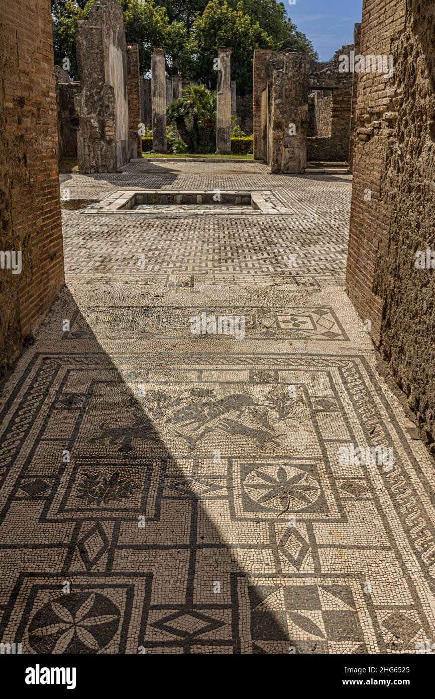 House of the Wild Boar Pompeii, Italy Stock Photo - Alamy