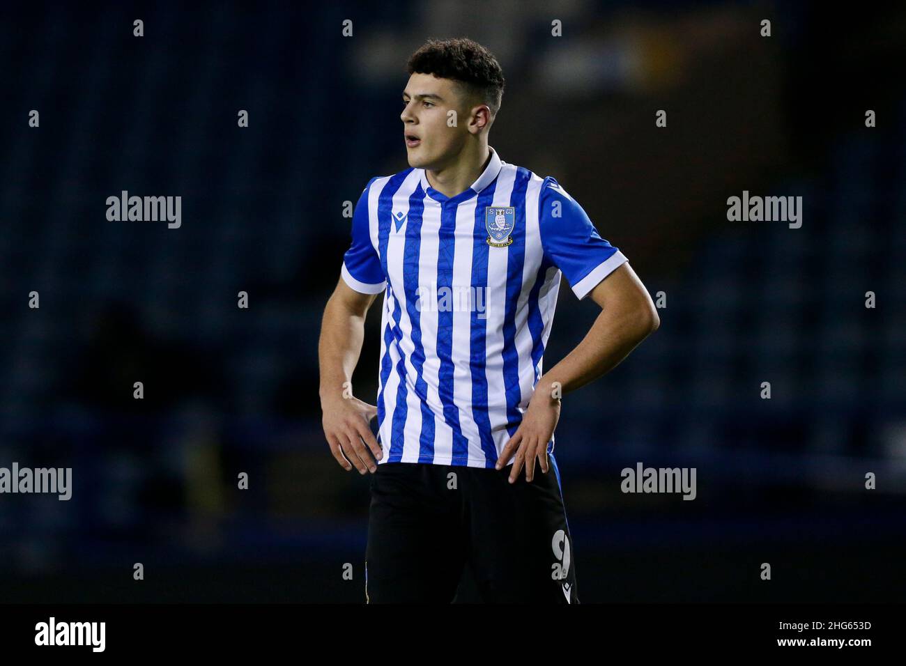 Bailey tye cadamarteri hi-res stock photography and images - Alamy