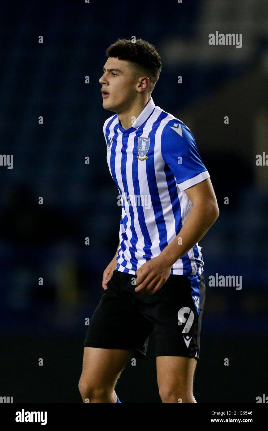 Bailey tye cadamarteri hi-res stock photography and images - Alamy