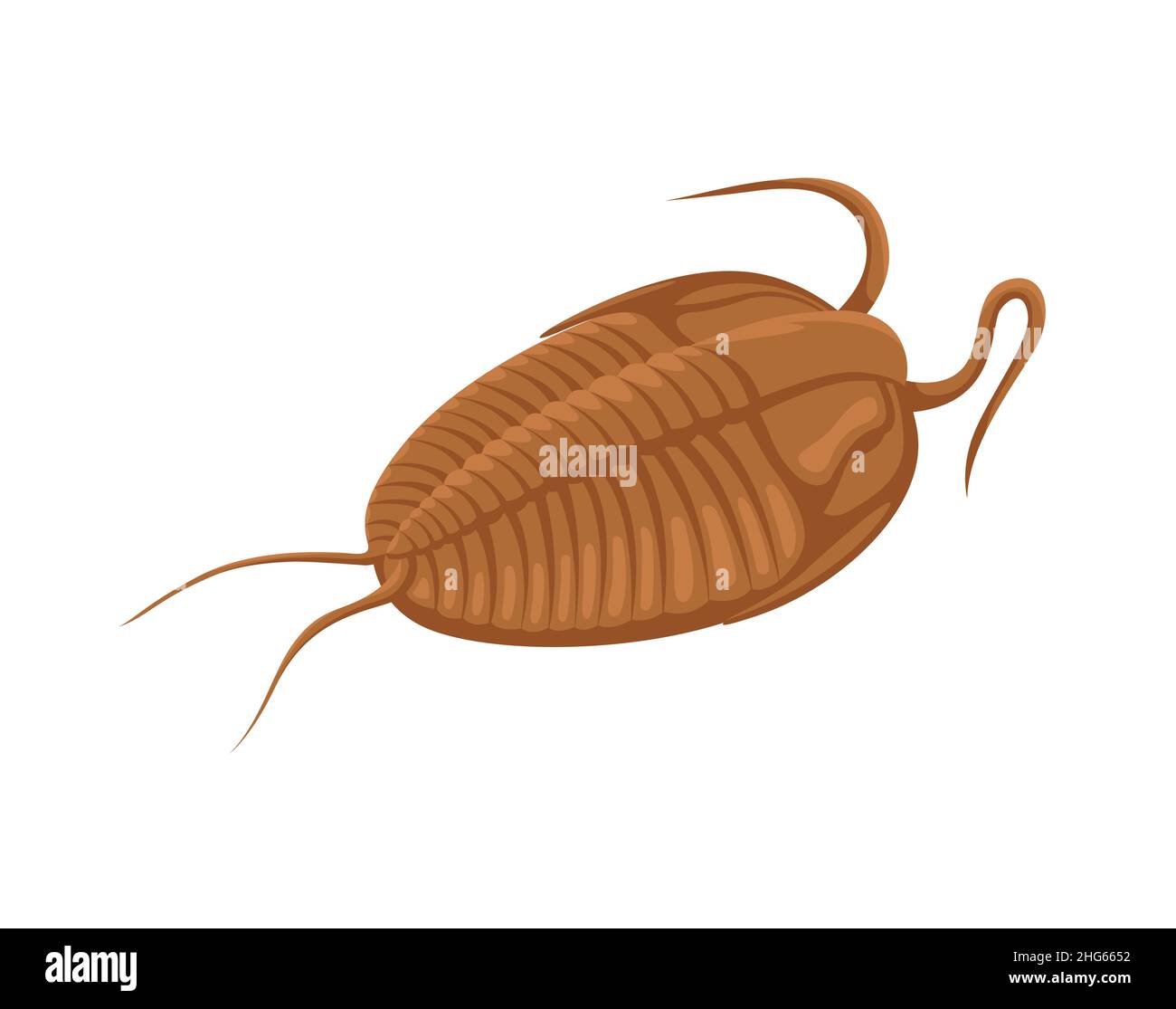 Fish evolution Cut Out Stock Images & Pictures - Alamy