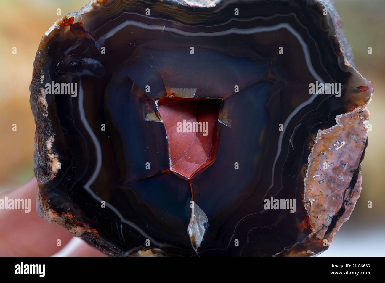 red fox agate mineral specimen stone rock geology gem crystal Stock ...