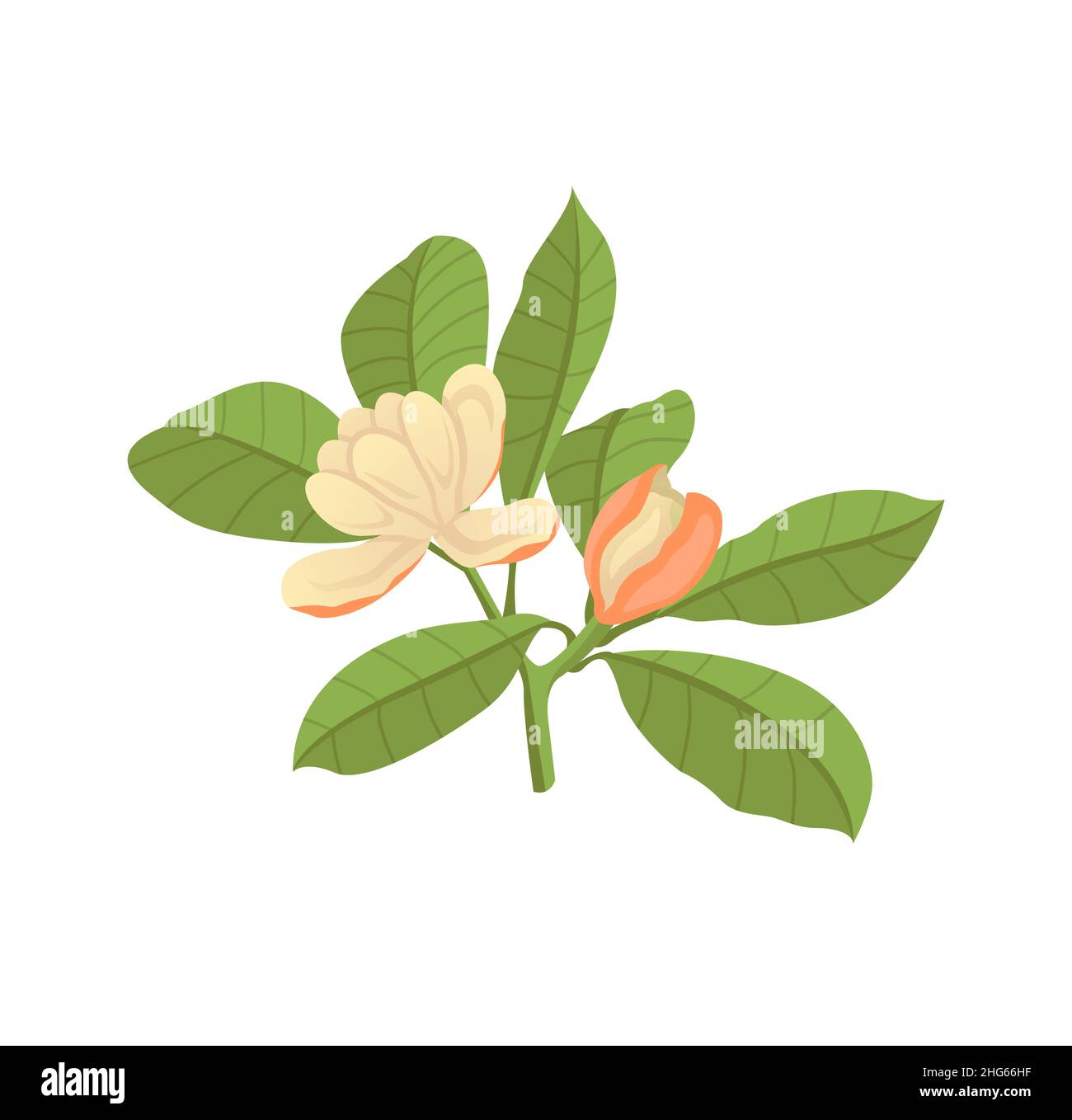 Evolution of life forms on Earth concept Stock Vector Image & Art - Alamy