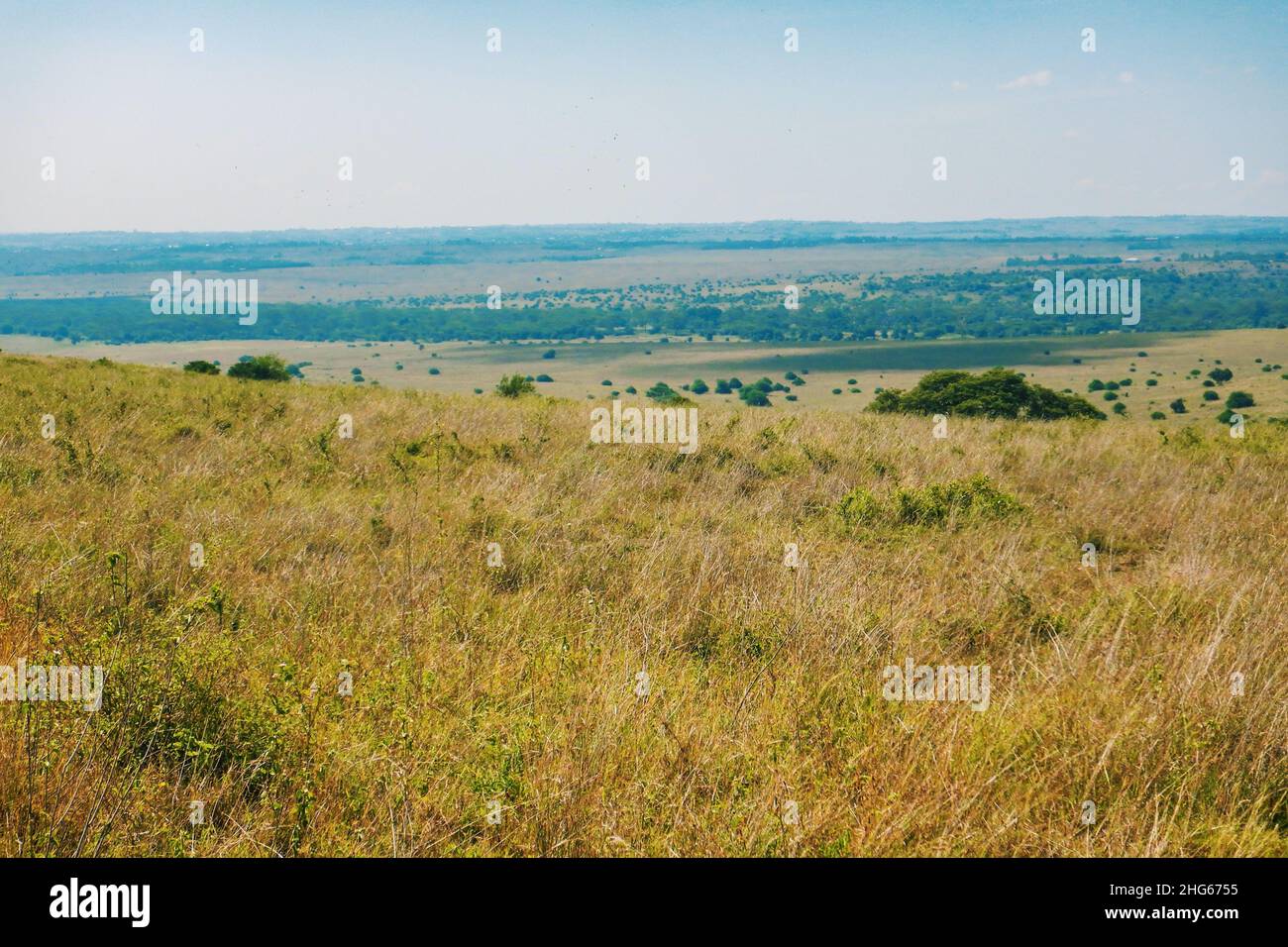 Scenic view of Savannah grassland landscapes of Nairobi National Park ...
