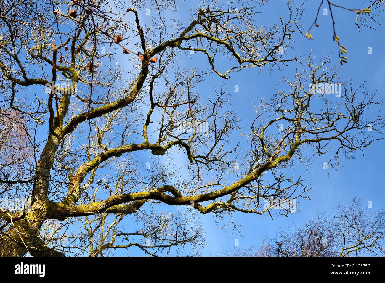 Luss in the sun! Stock Photo - Alamy