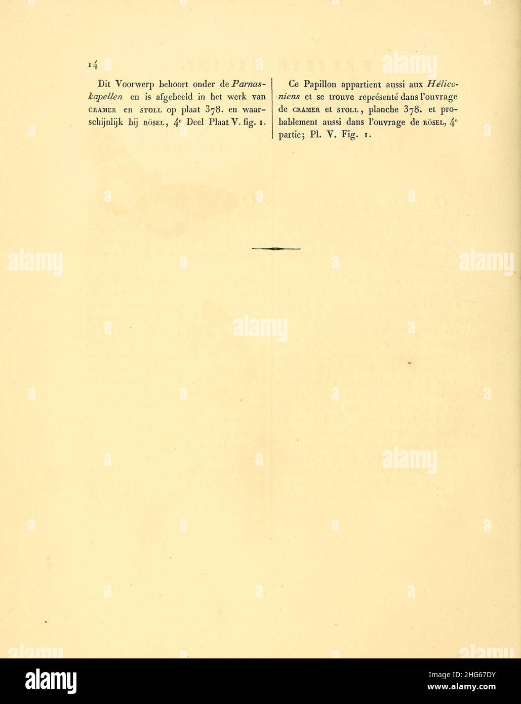 Heliconius ricini hi-res stock photography and images - Alamy