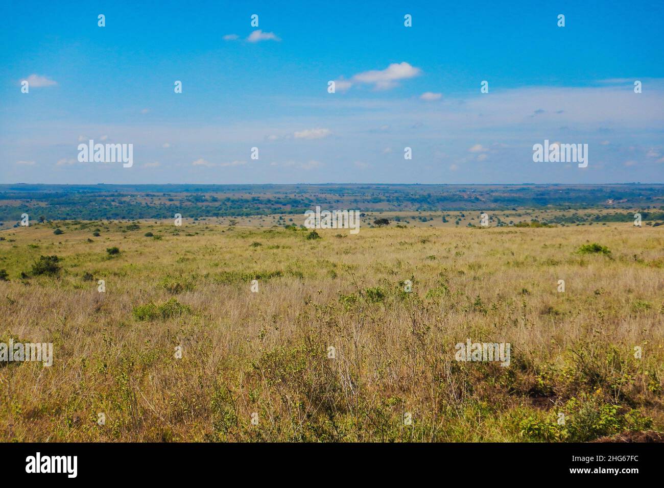 Scenic view of Savannah grassland landscapes of Nairobi National Park ...