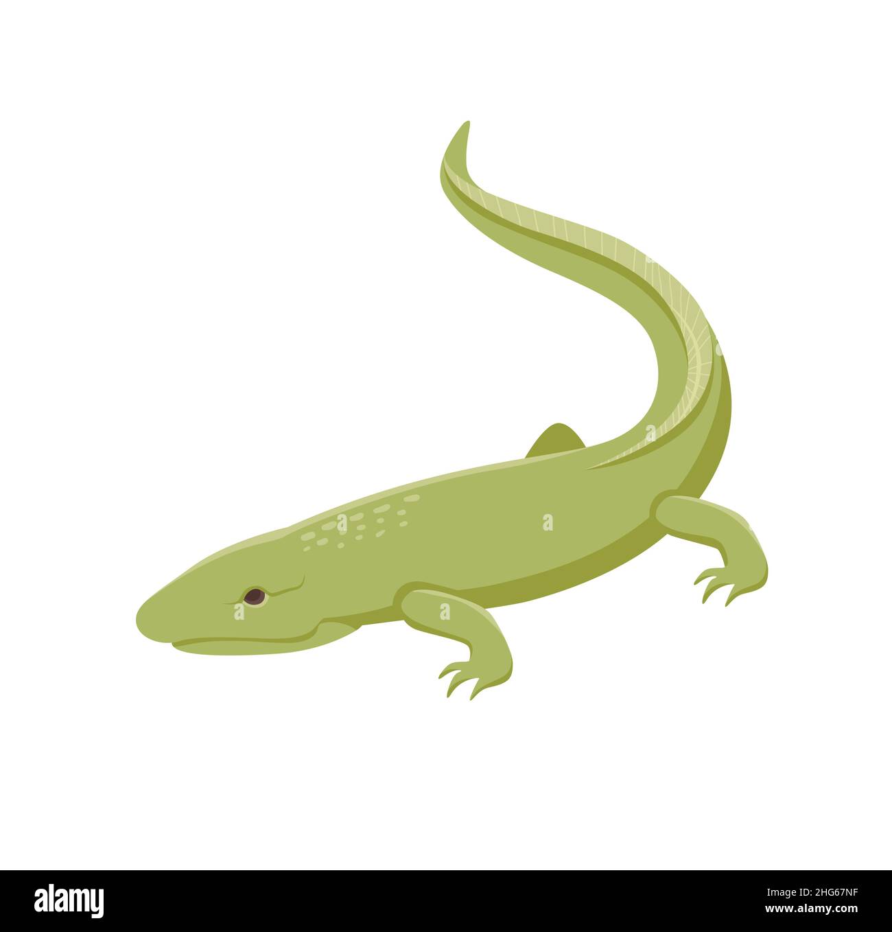 Evolution of life forms on Earth concept Stock Vector Image & Art - Alamy