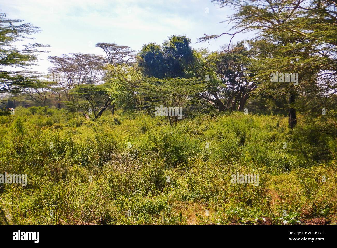 Kenya nairobi landscape hi-res stock photography and images - Alamy