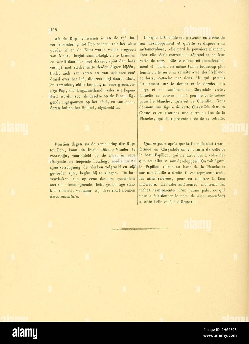 Phocus hi-res stock photography and images - Alamy