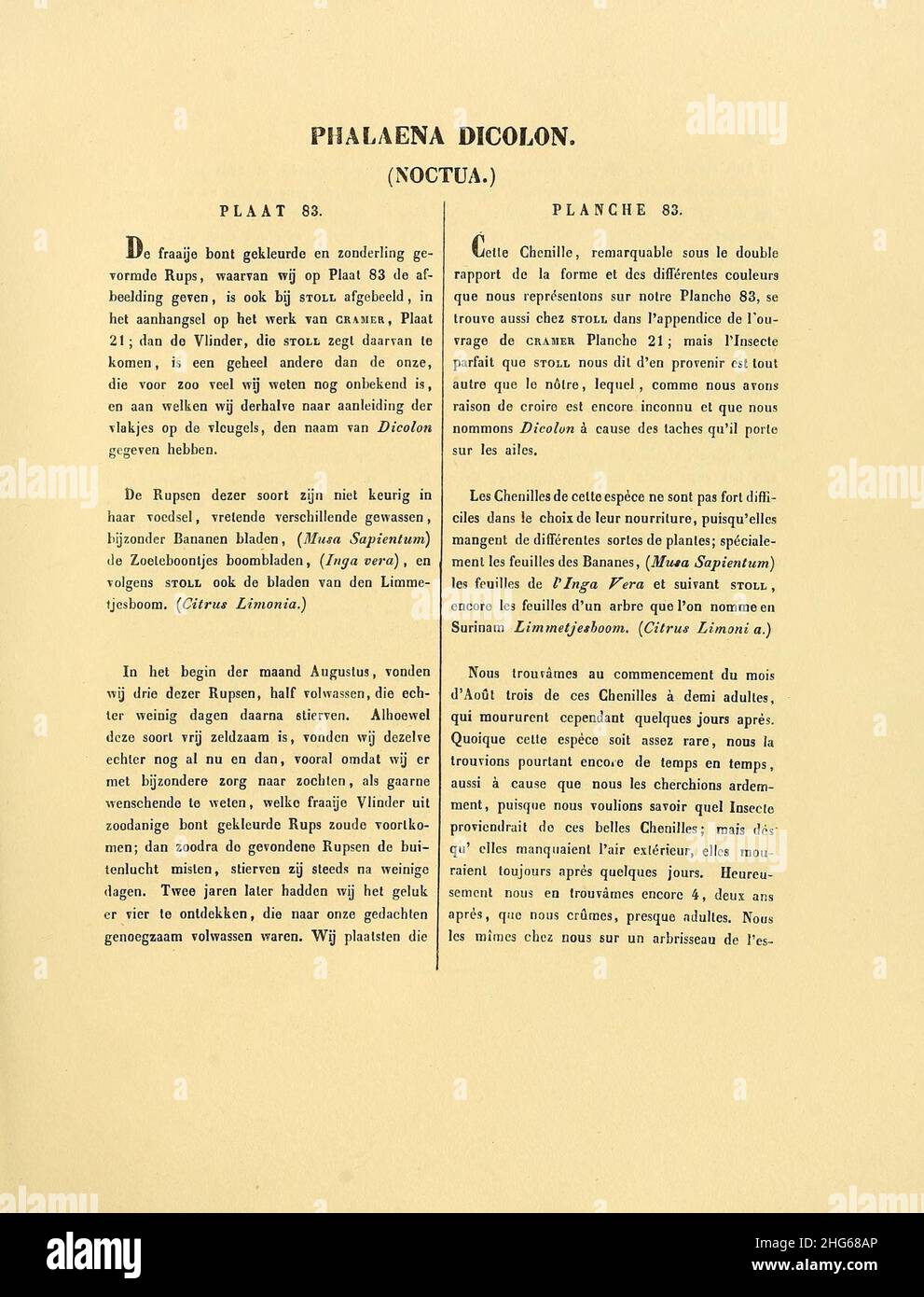 Dicolon hi-res stock photography and images - Alamy