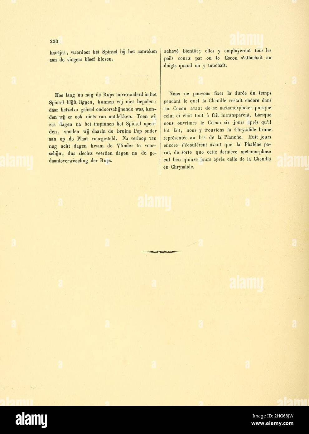 Sepp-Surinaamsche vlinders - pl 103 text2 descr. as Phalaena crucifera ...