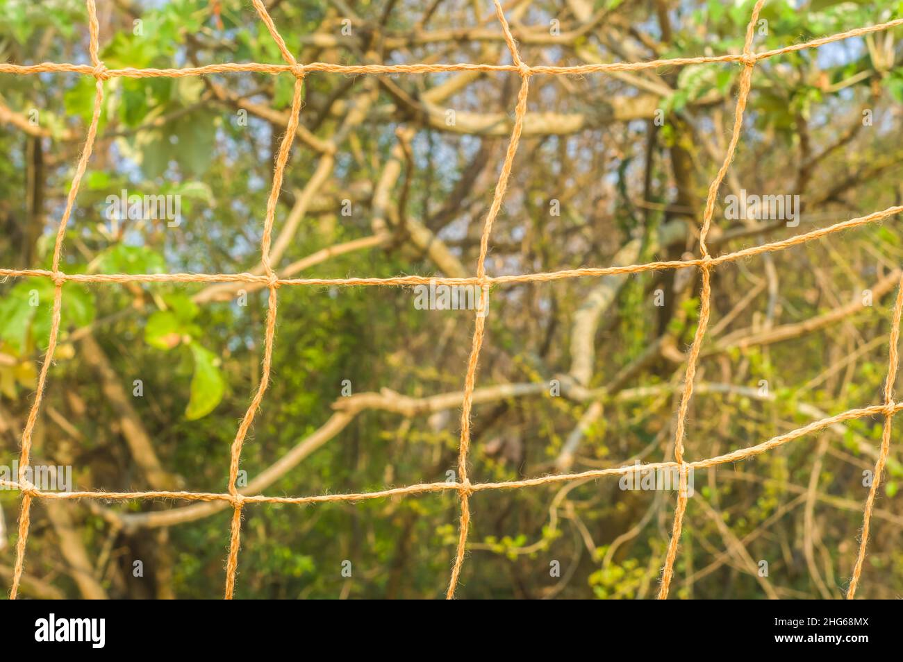 texture with football net, daylight, grass, earth in the background ...