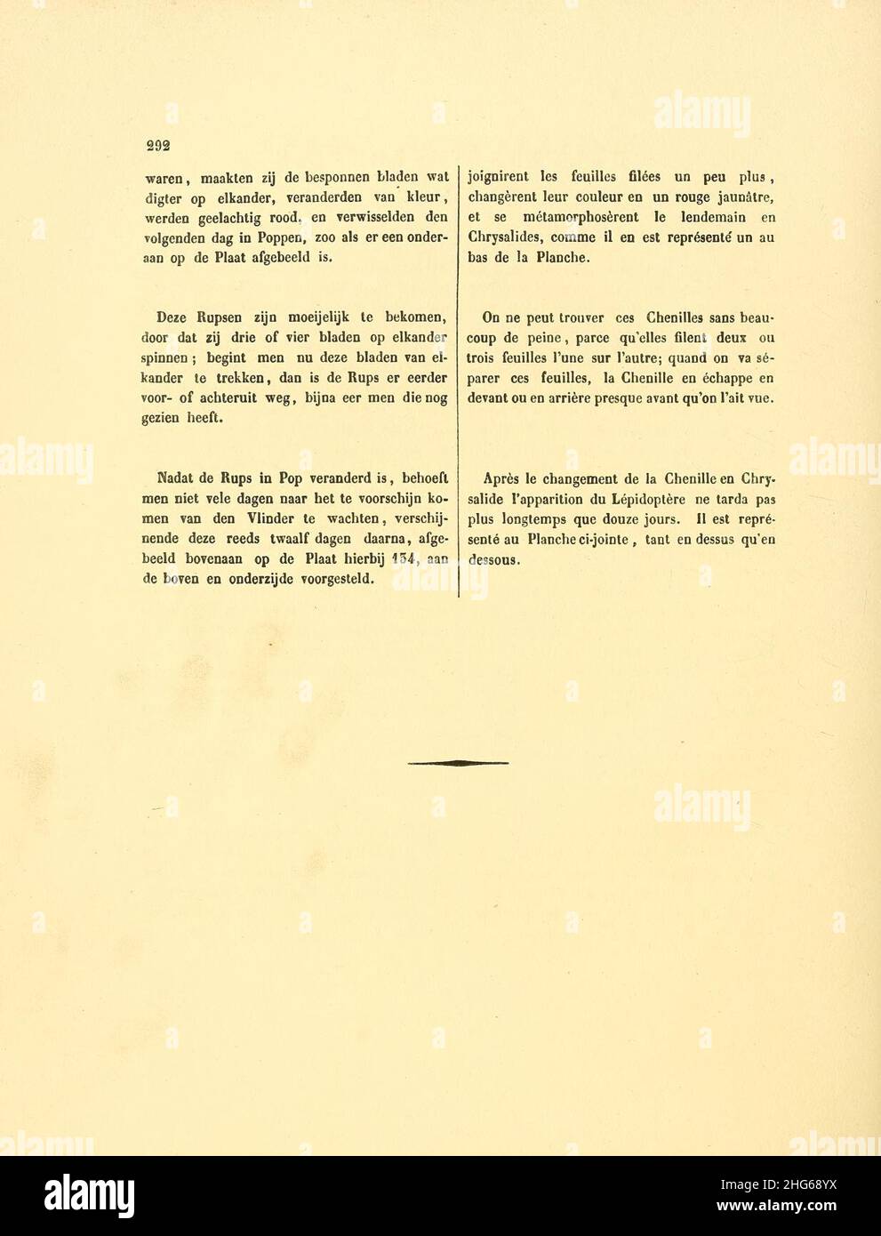 Sepp-Surinaamsche vlinders - pl 134 text2 descr. as Phalaena trizonalis ...