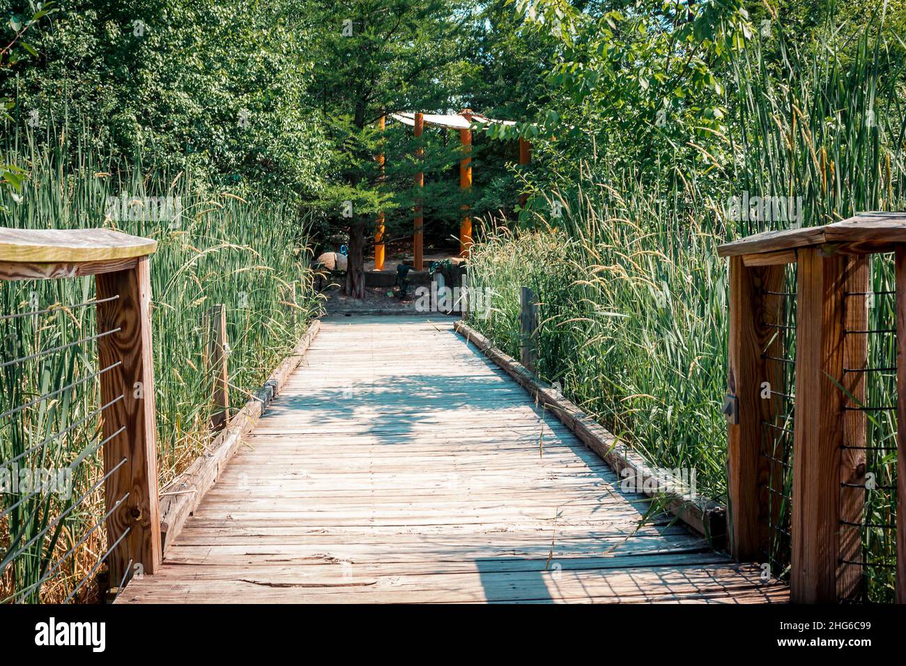 Wetlands bridge hi-res stock photography and images - Alamy