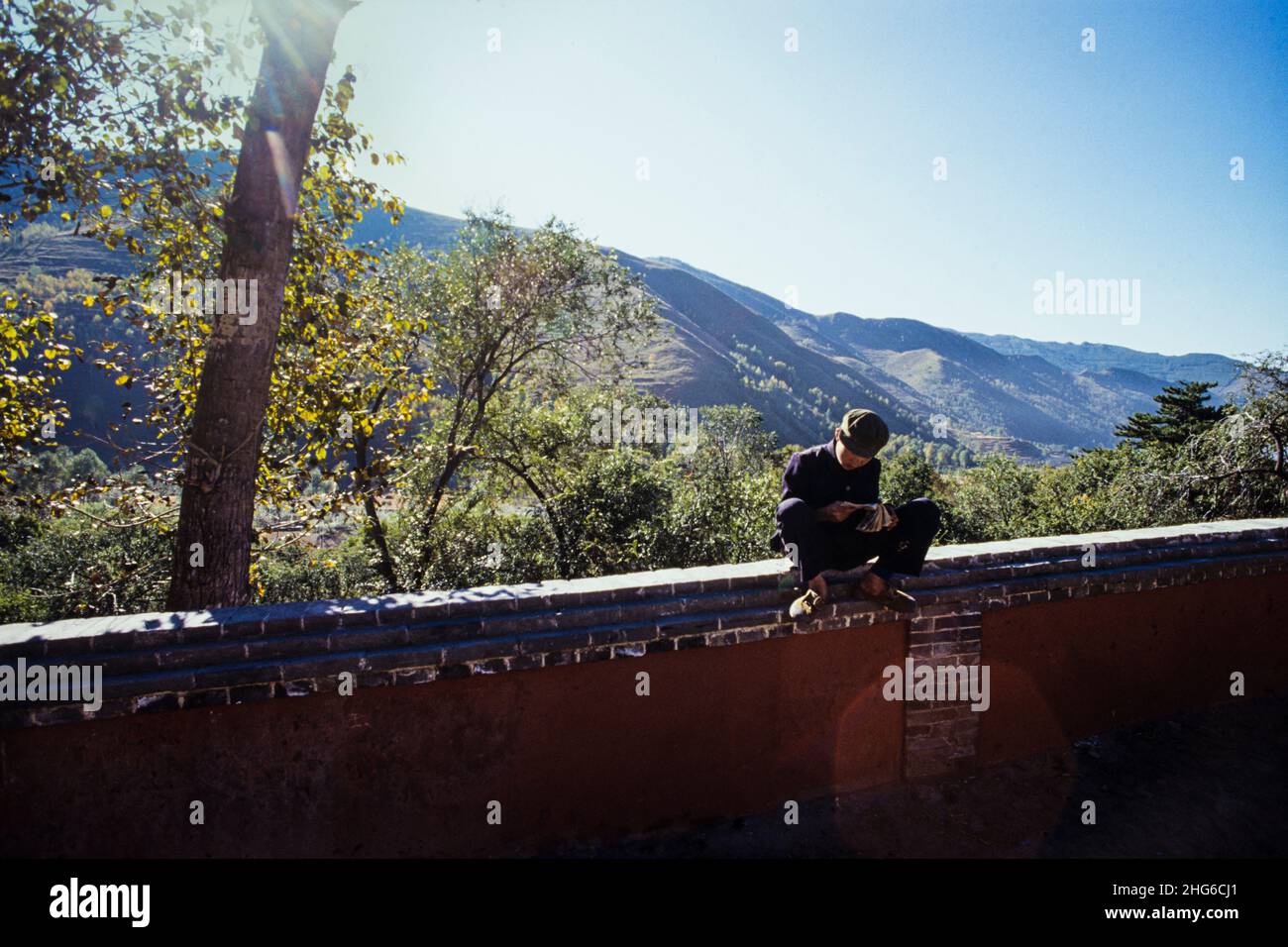 Chinese boy reading Stock Photo - Alamy