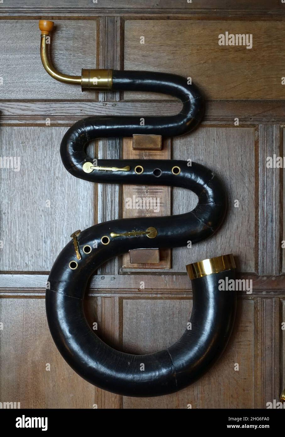 Horn serpent hi-res stock photography and images - Alamy