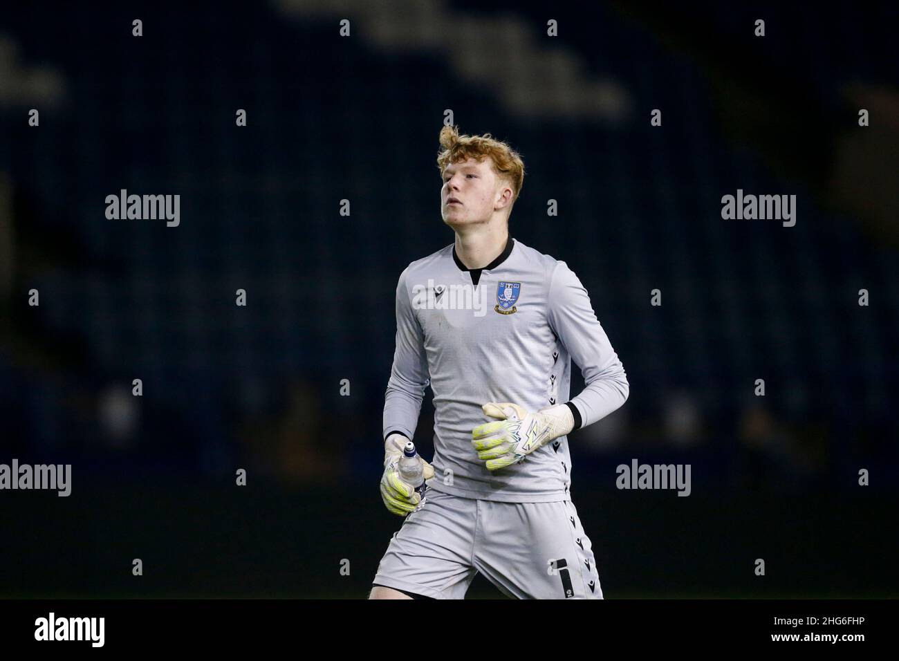 Jack Hall #1 of Sheffield Wednesday Stock Photo - Alamy