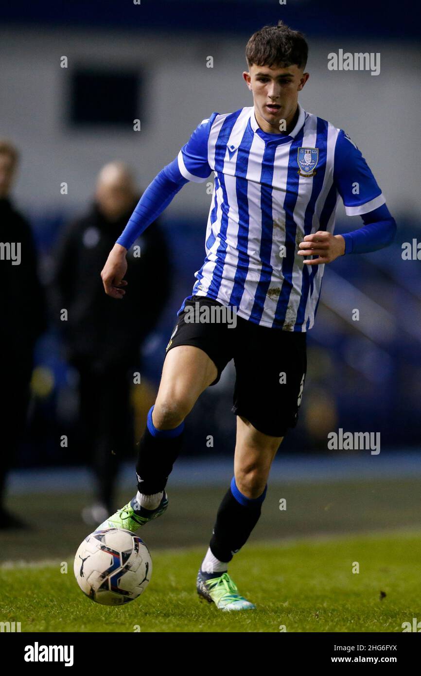 Rio Shipston #8 of Sheffield Wednesday Stock Photo - Alamy