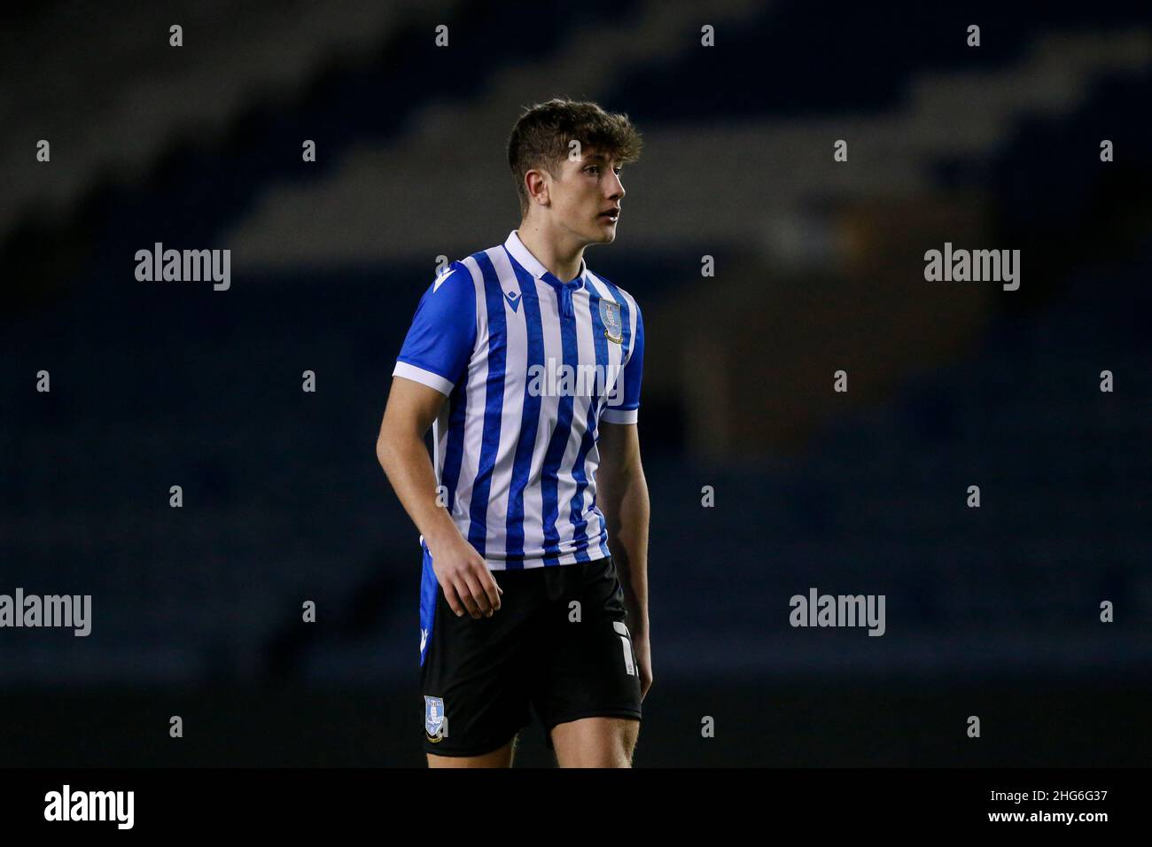 Mackenzie Maltby #12 of Sheffield Wednesday Stock Photo - Alamy