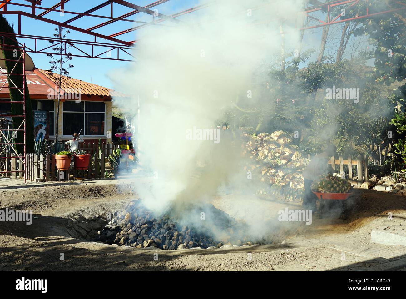 Burning of agave during the mezcal making process, mezcal factory ...
