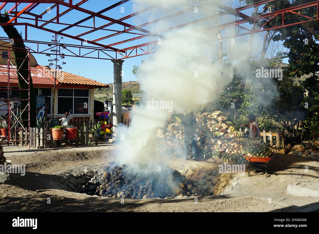 Burning of agave during the mezcal making process, mezcal factory ...