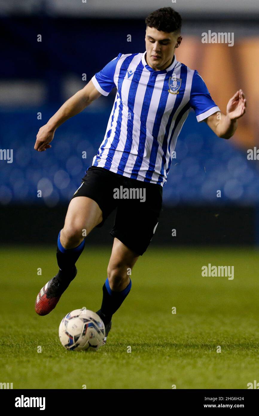 Bailey tye cadamarteri hi-res stock photography and images - Alamy