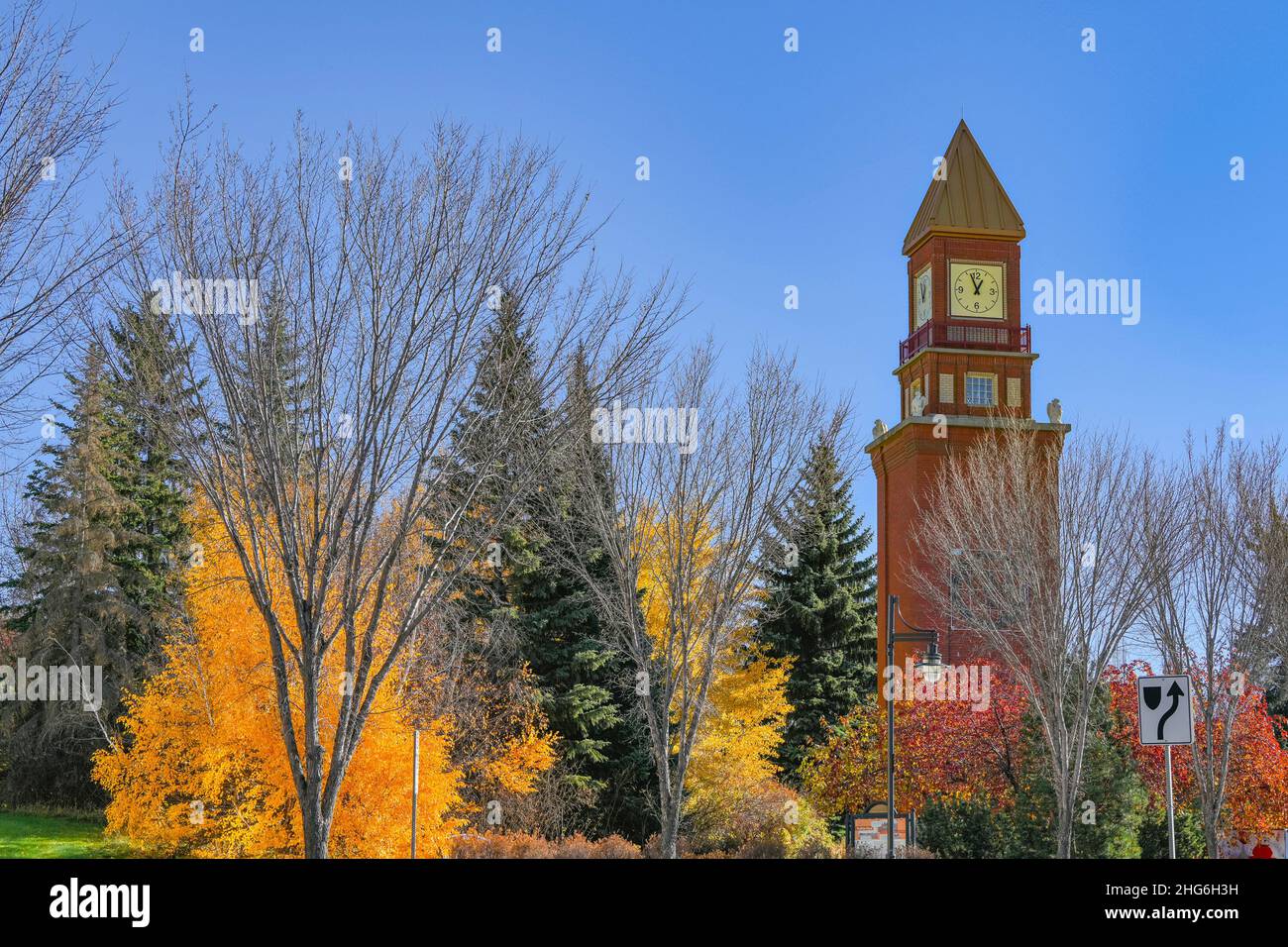 Albert clock tower hi-res stock photography and images - Alamy
