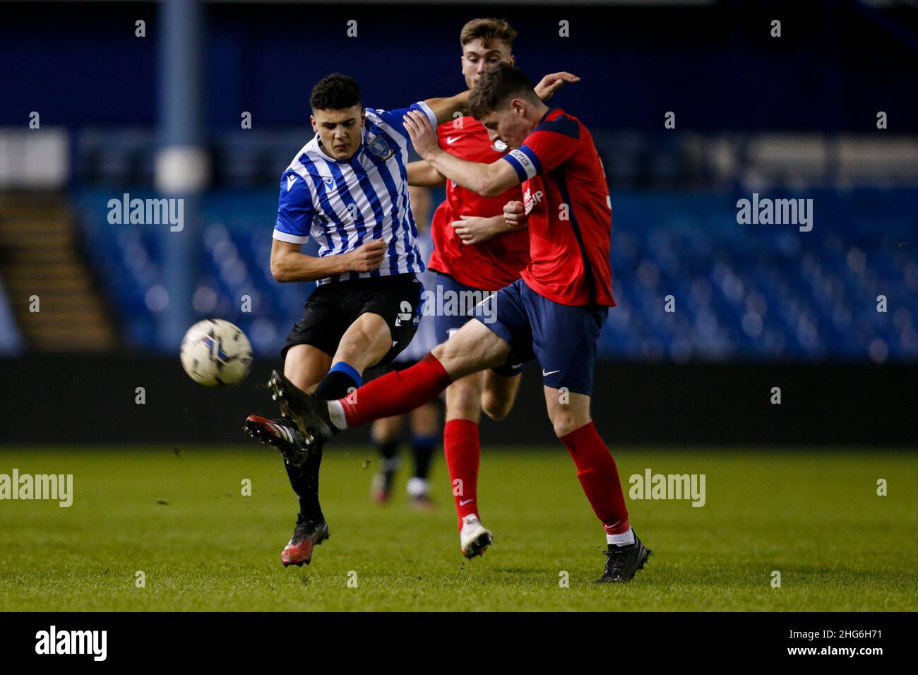 Bailey tye cadamarteri hi-res stock photography and images - Alamy