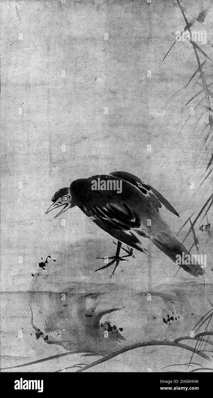 Crow rock Black and White Stock Photos & Images - Alamy