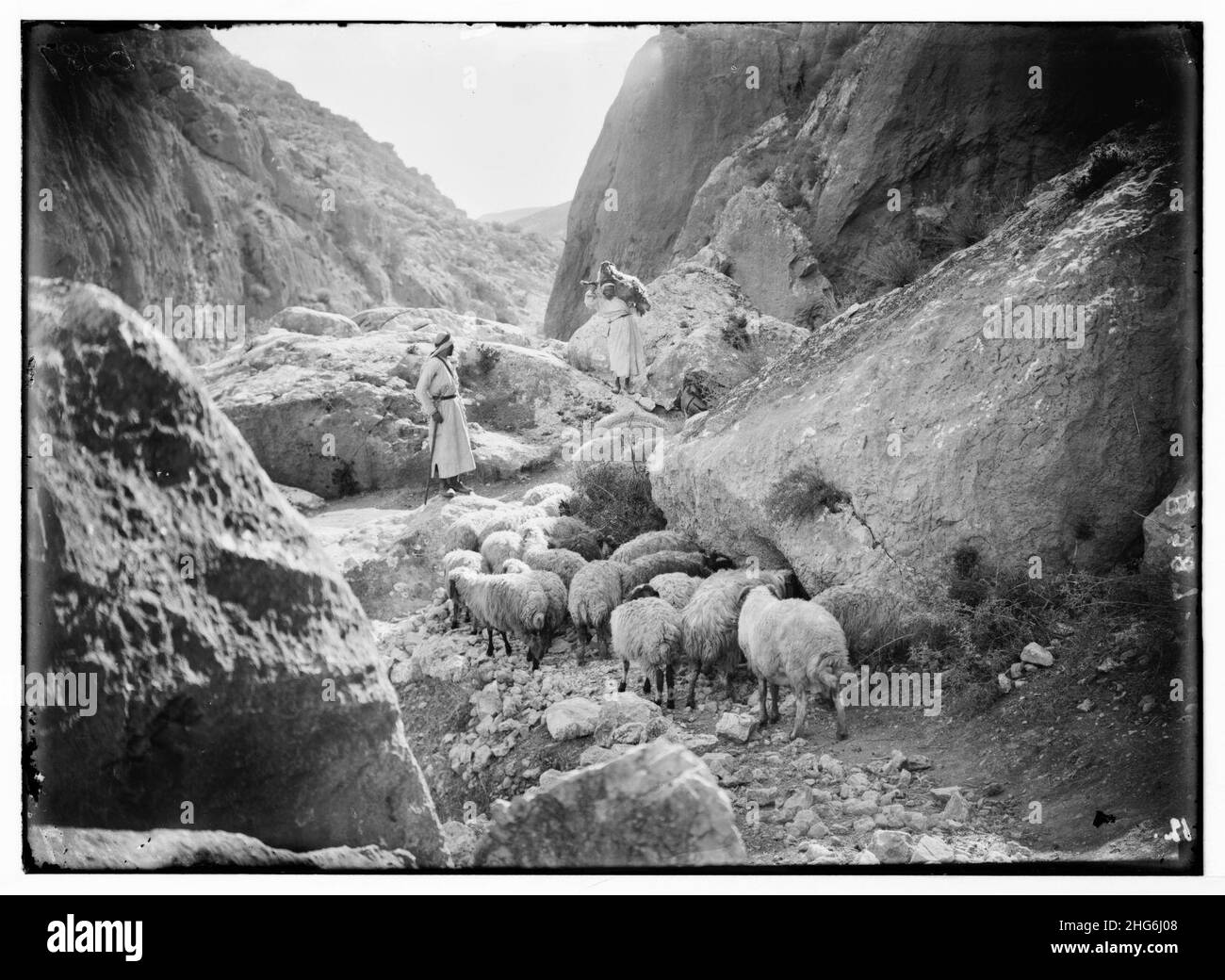 Set of thirteen select slides of shepherd life, illustrating the Twenty ...