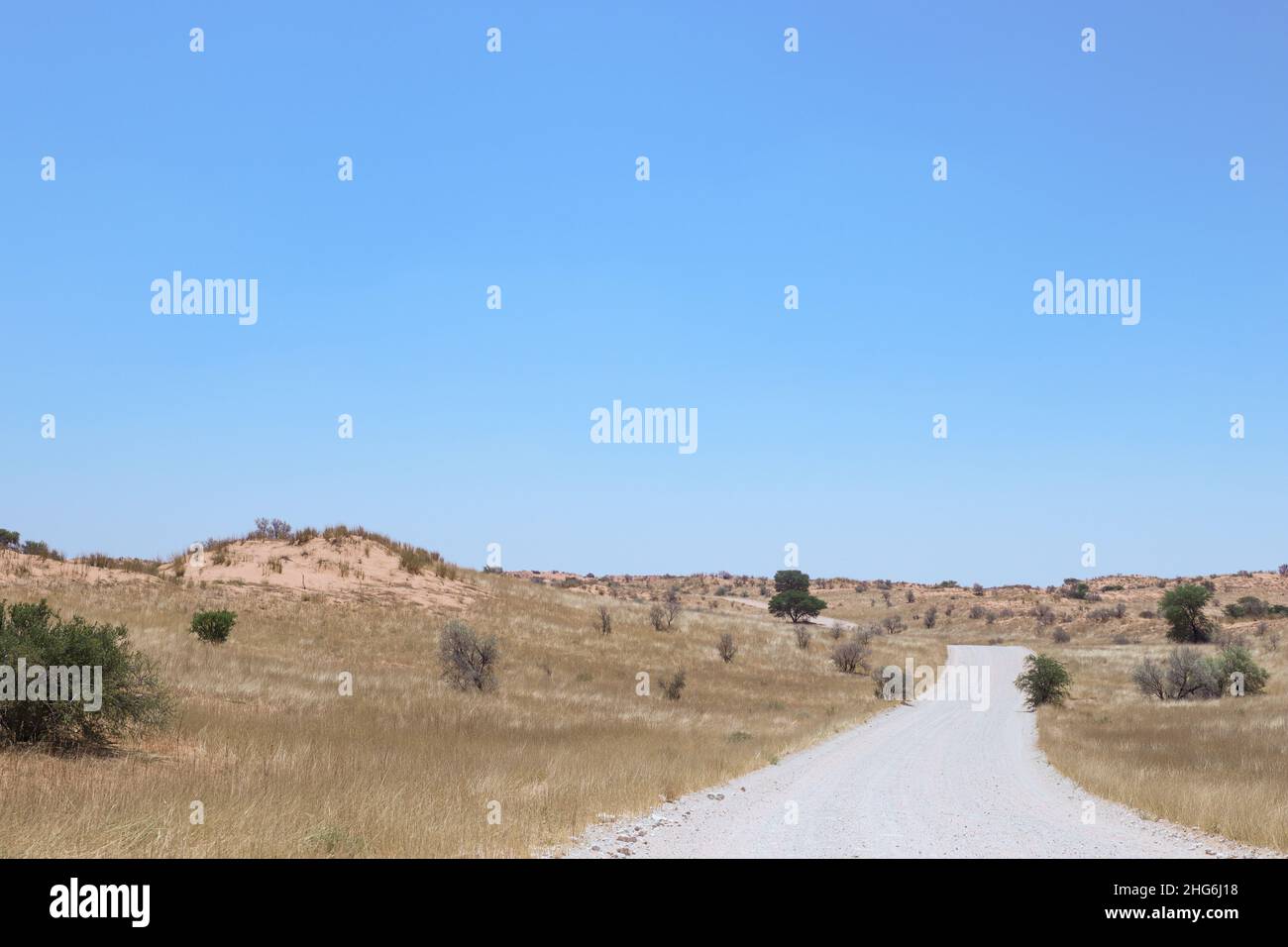 White dirt road in the Kgalagadi Stock Photo - Alamy