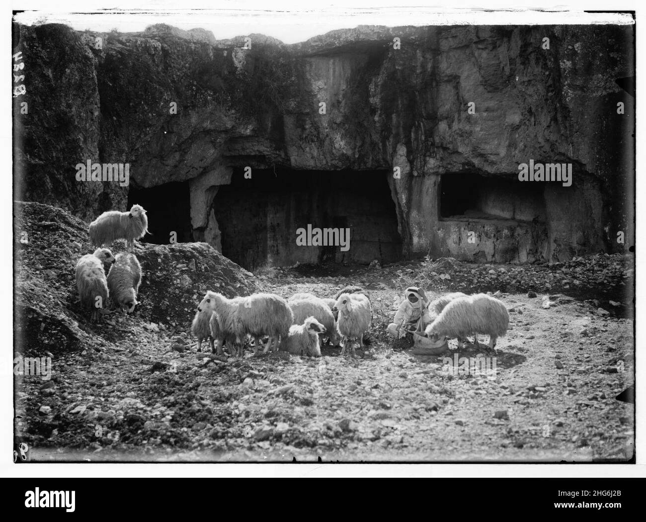 Set of thirteen select slides of shepherd life, illustrating the Twenty ...