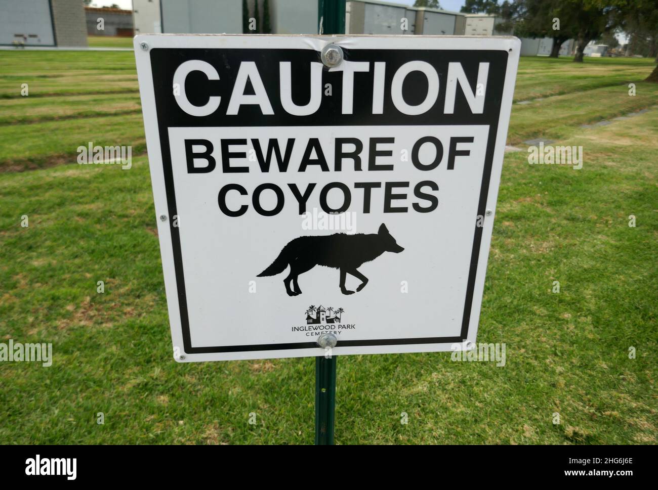 Caution beware of coyotes sign hi-res stock photography and images - Alamy