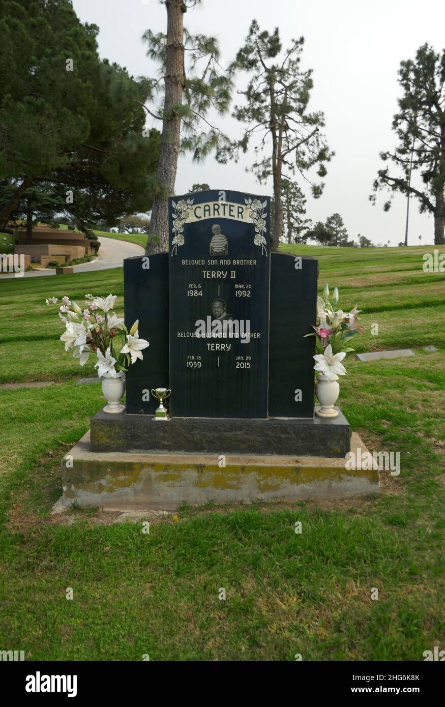 Terry Carter Compton