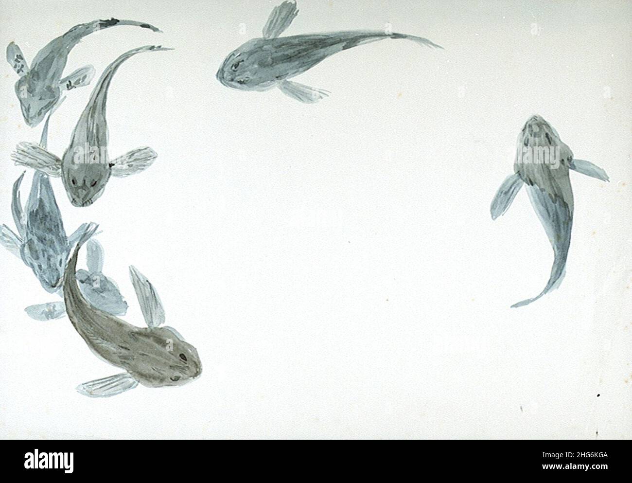 Seven fishes hi-res stock photography and images - Alamy