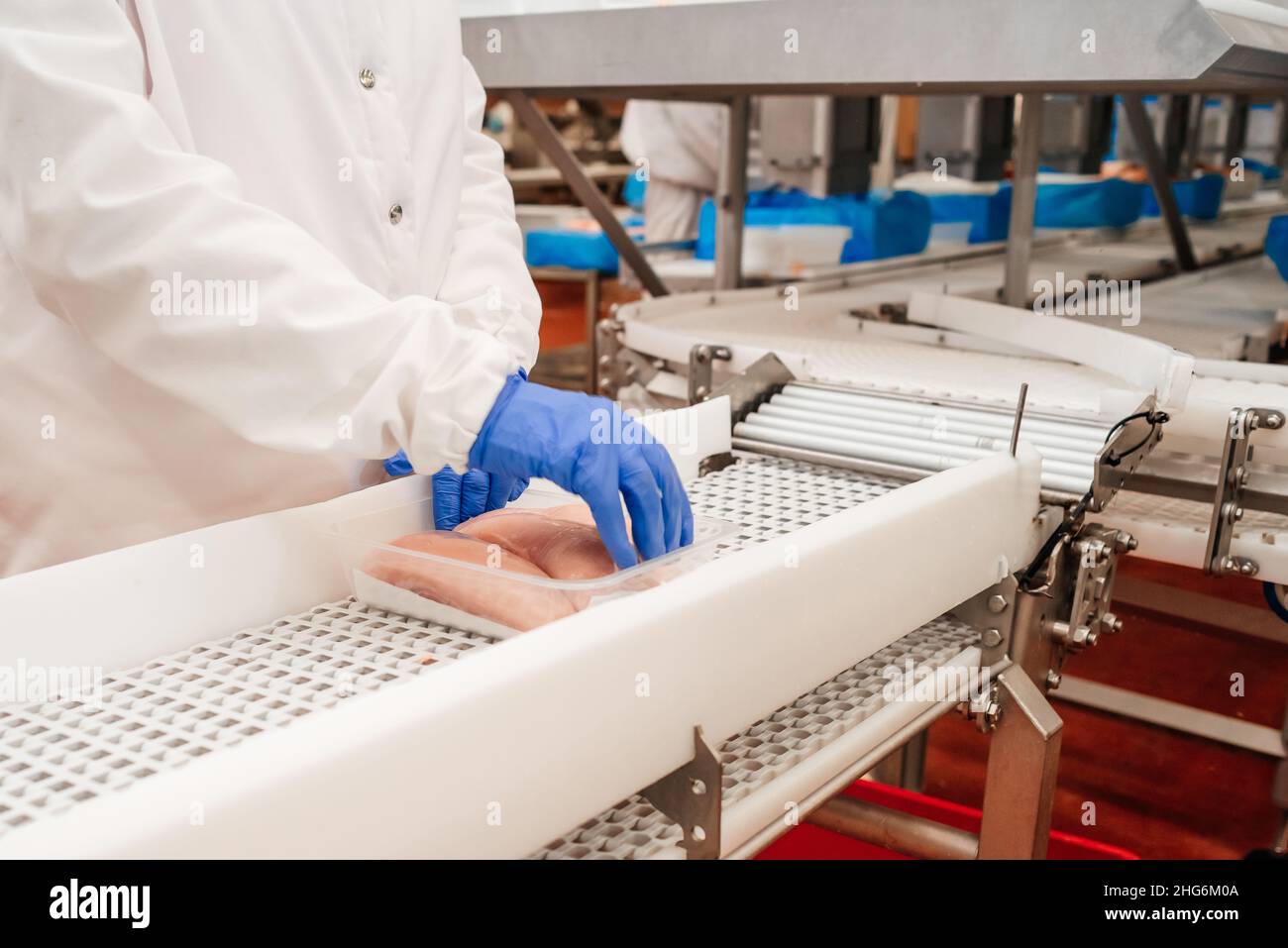 Chicken fillet production line . Factory for the production of food ...