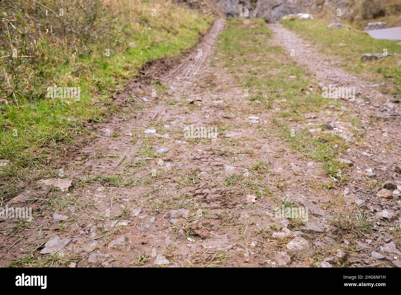 January 2022 - Environmental damage caused to the side of Cheddar Gorge ...