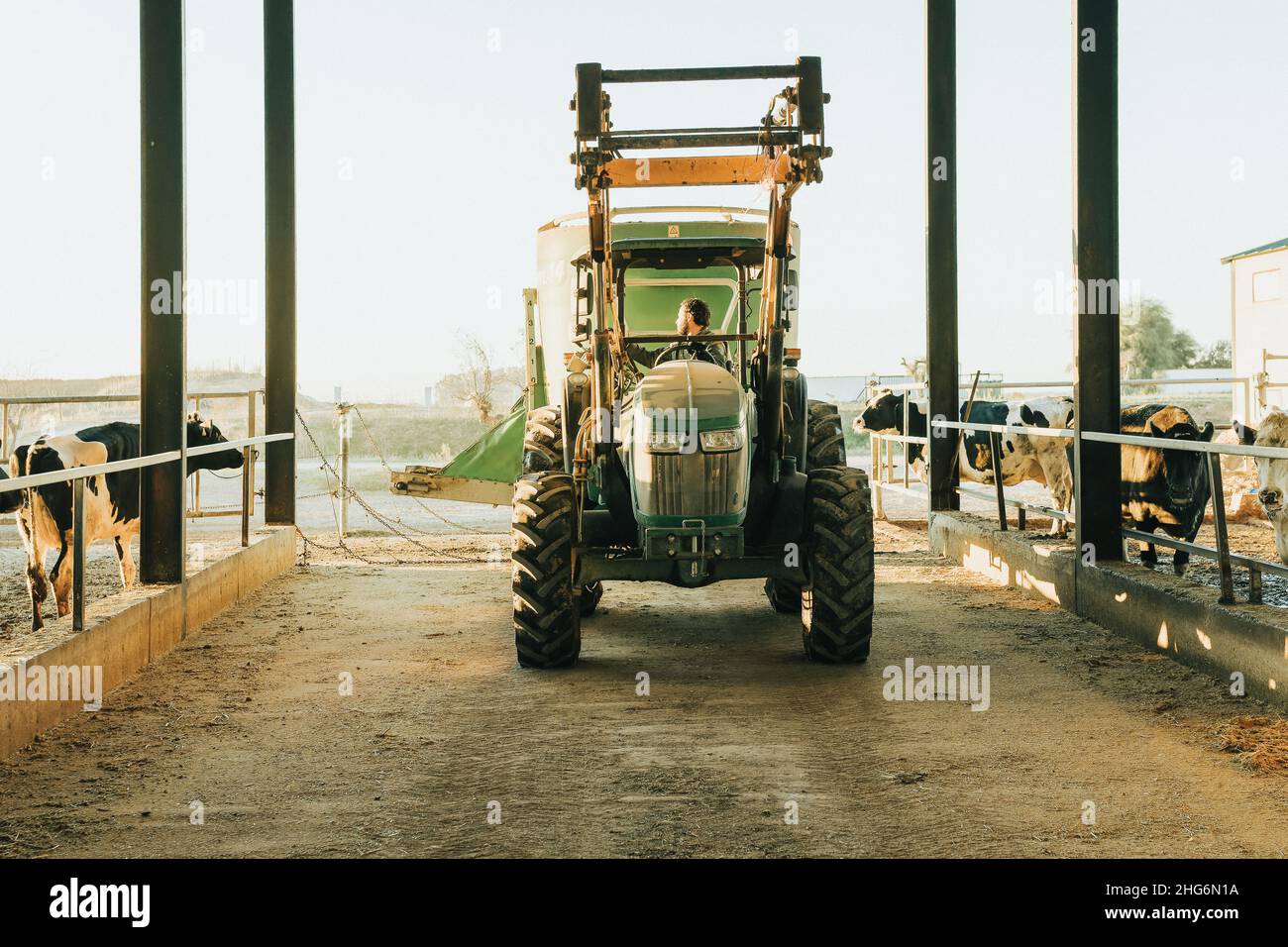 Tractor cows hi-res stock photography and images - Alamy