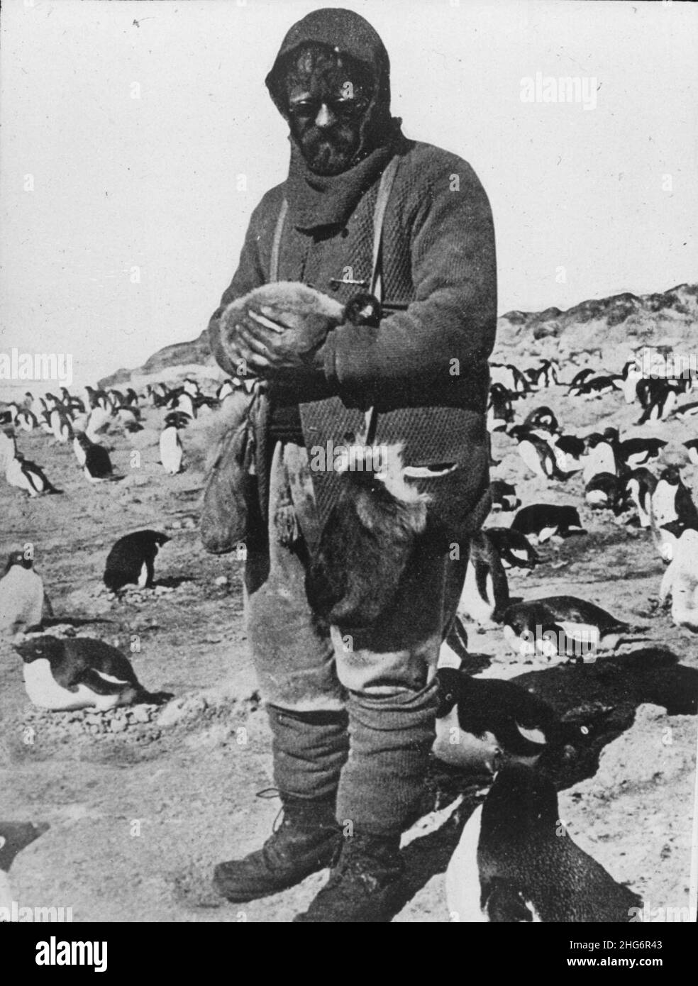 Shackleton nimrod 83 Stock Photo - Alamy