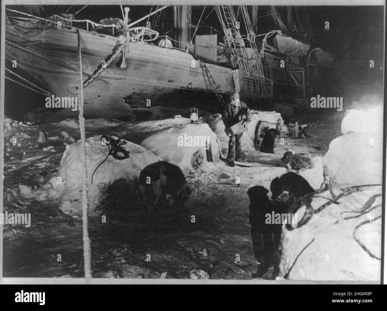 Endurance expedition dogs hi-res stock photography and images - Alamy