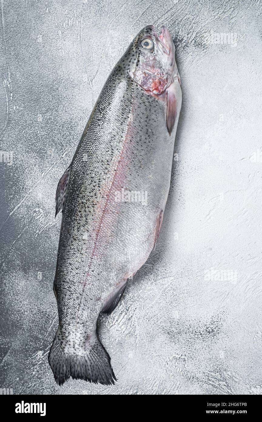 Raw trout silver fish on a kitchen table. Gray background. Top view ...