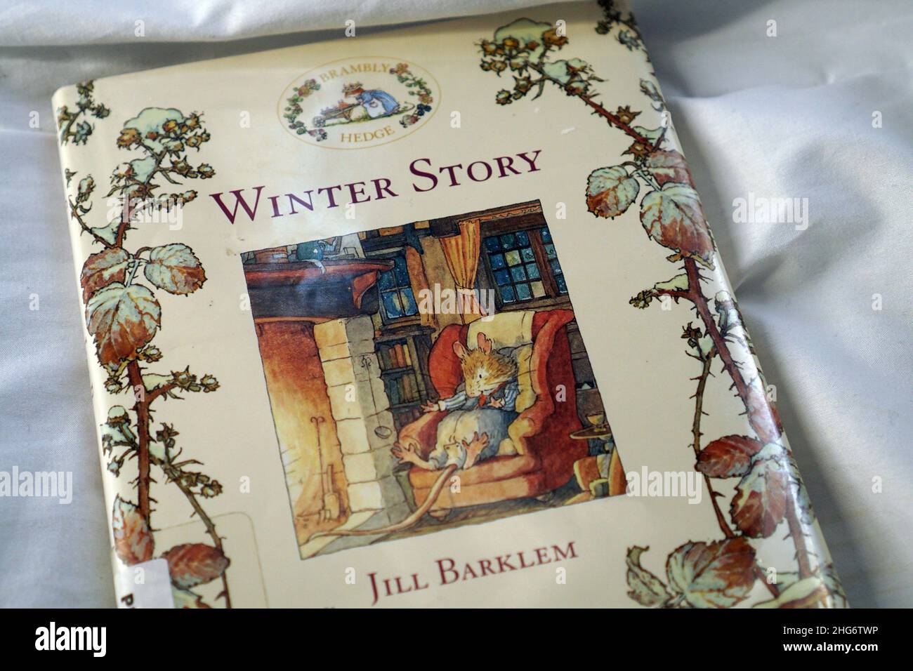 Winter Story from the Brambly Hedge children's book series by Jill Barklem Stock Photo - Alamy