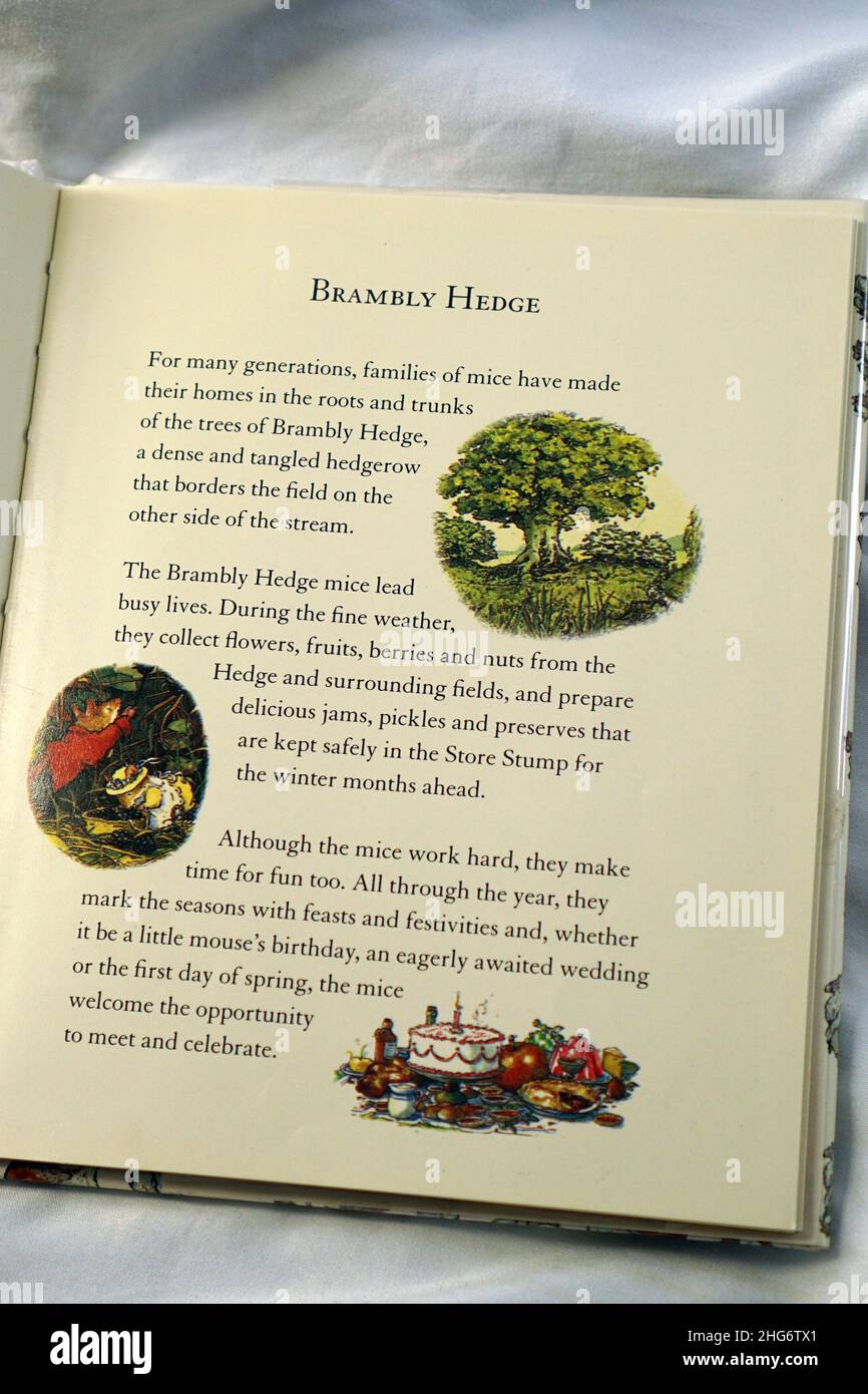 Winter Story from the Brambly Hedge children's book series by Jill ...