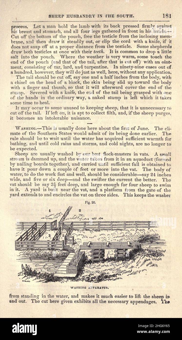 Sheep husbandry (Page 181 Stock Photo - Alamy