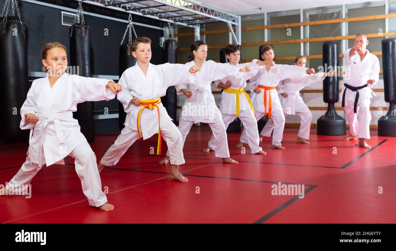 Schoolchilds practicing new technique in karate class Stock Photo - Alamy
