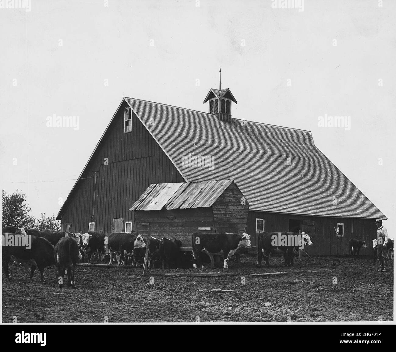 Shelby County, Iowa. A common type of barn. Like most service buildings ...