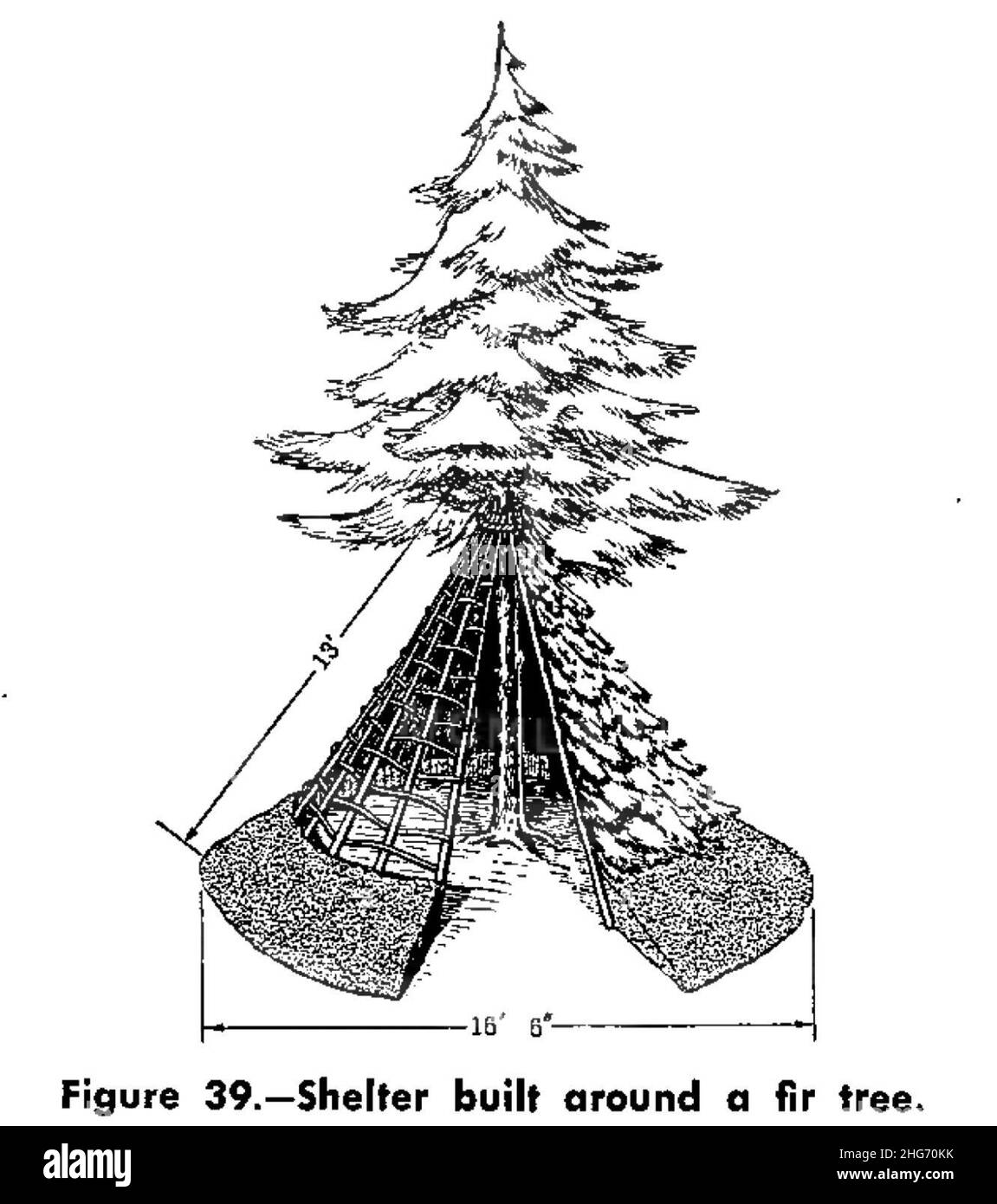 Shelter around fir tree Stock Photo - Alamy