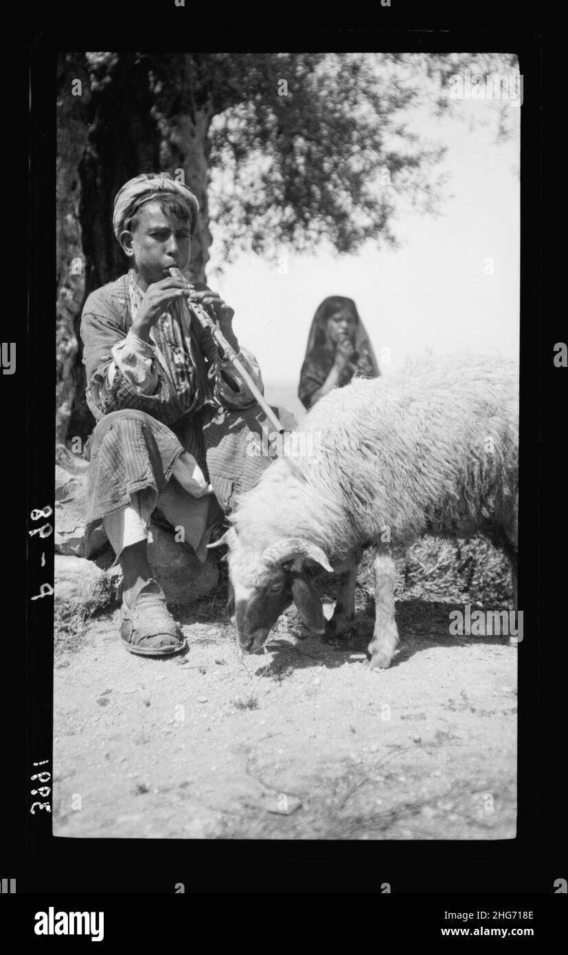 Shepherd scenes. Shepherd boy playing to his sheep. The typical reed ...