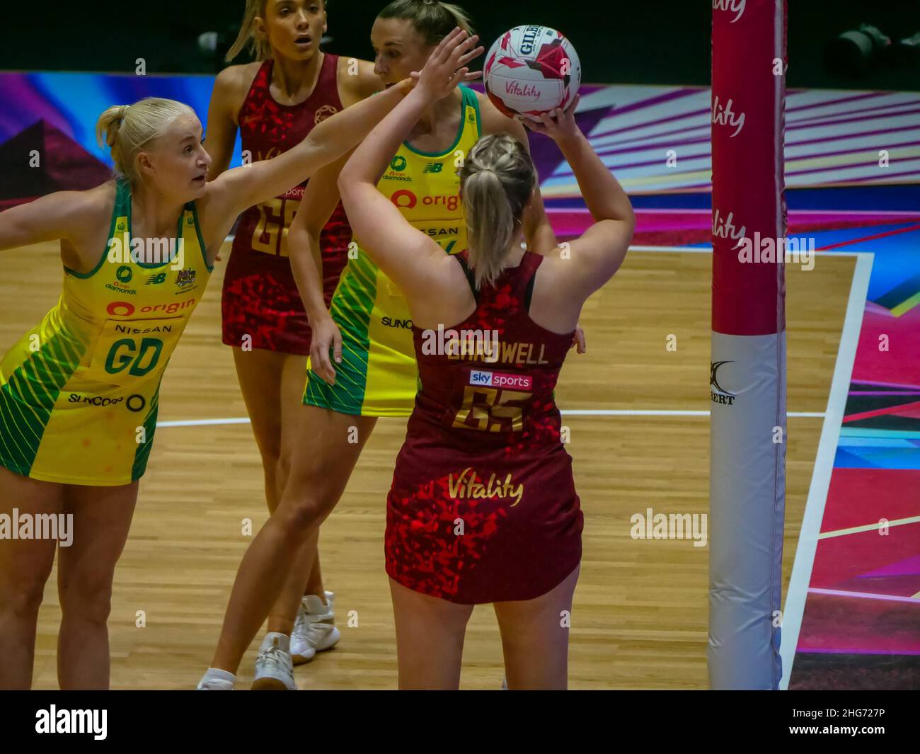 Vitality roses’ eleanor cardwell hi-res stock photography and images ...