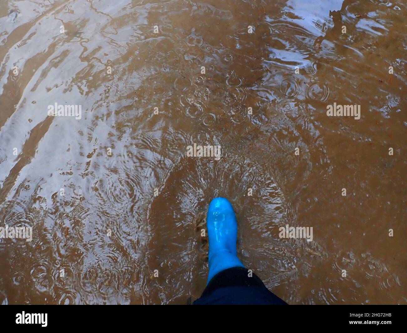 Spring puddle.puddle walk. blue rubber boots in spring muddy water ...